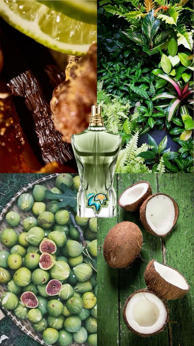 Refill & Revive — Your Scent, Reimagined – Frag Store